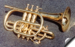 Gallery - Category: Gallery